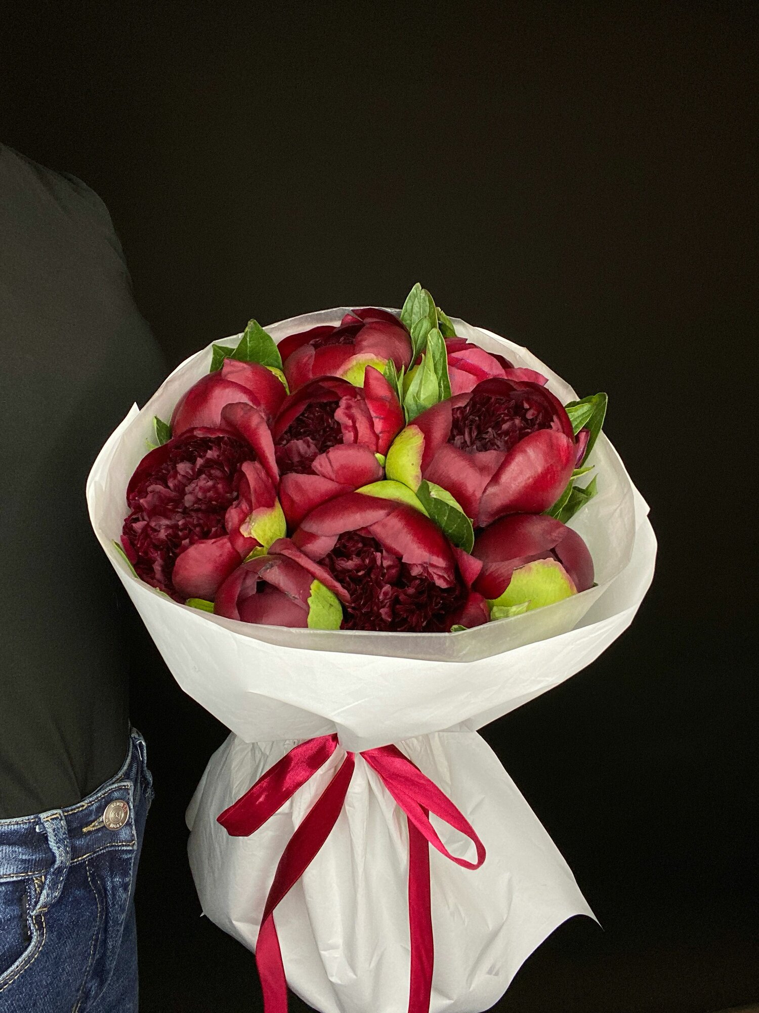 Пионы бордовые