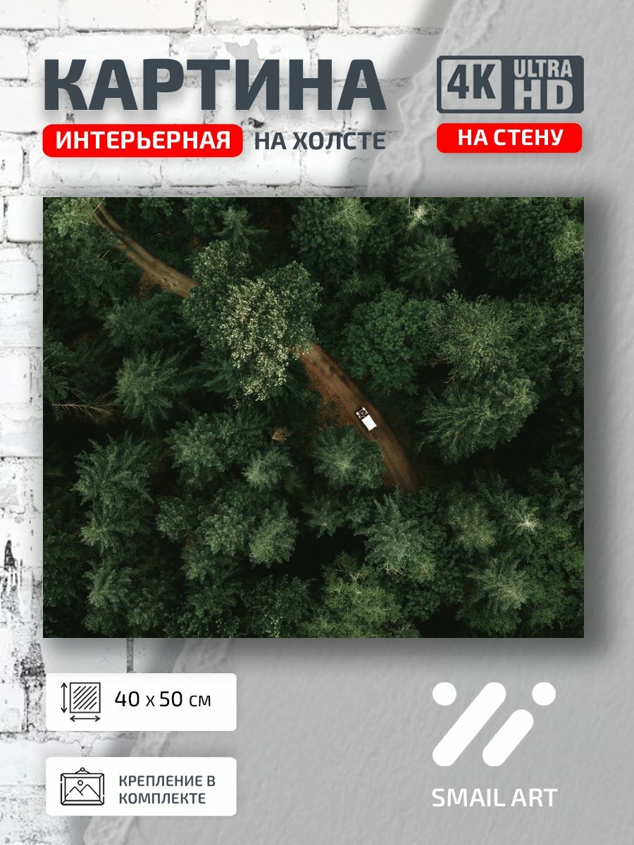Картина на холсте интерьерная 40 на 50 на стену Дорога Landscape для спальни пейзаж декор