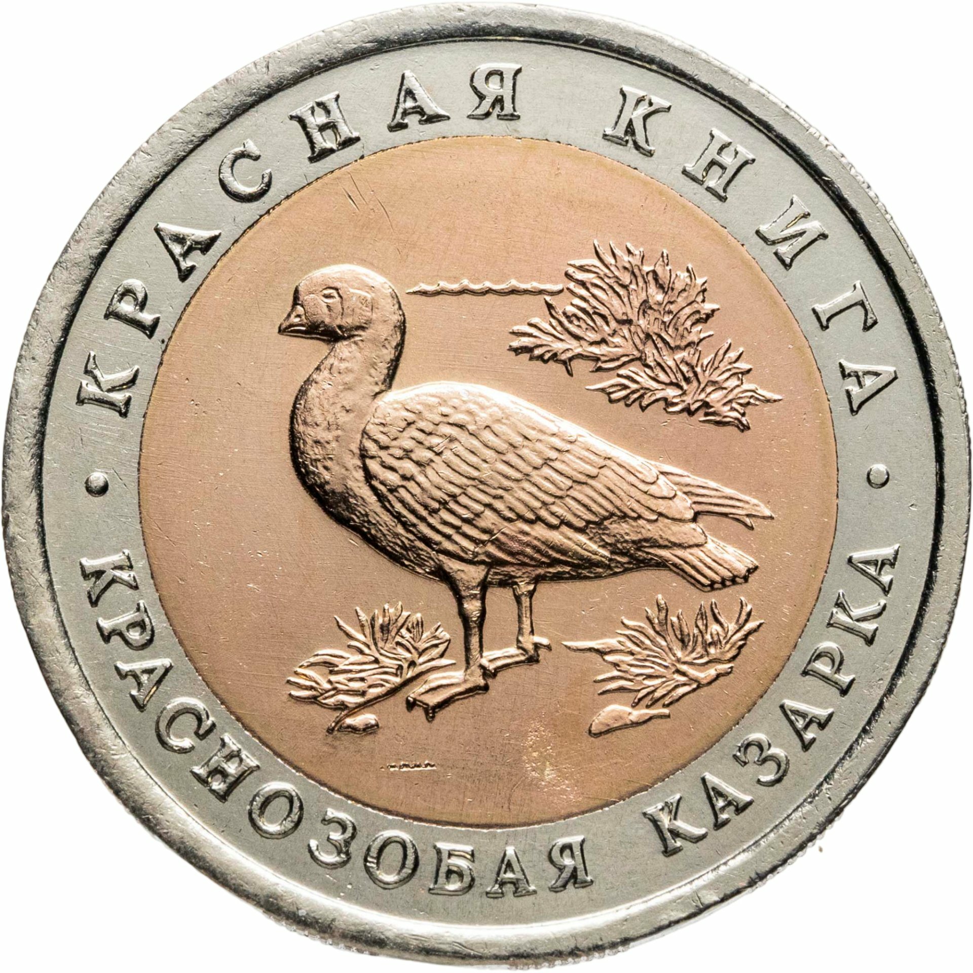 10 рублей 1992 ЛМД краснозобая казарка, Биметалл, в сохранности XF-AU