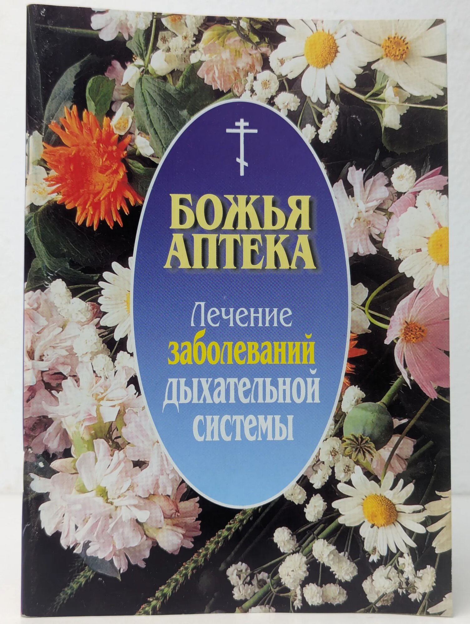 Божья аптека. Лечение заболеваний дыхательной системы Киянова Ирина Васильевна (сост.) 2007