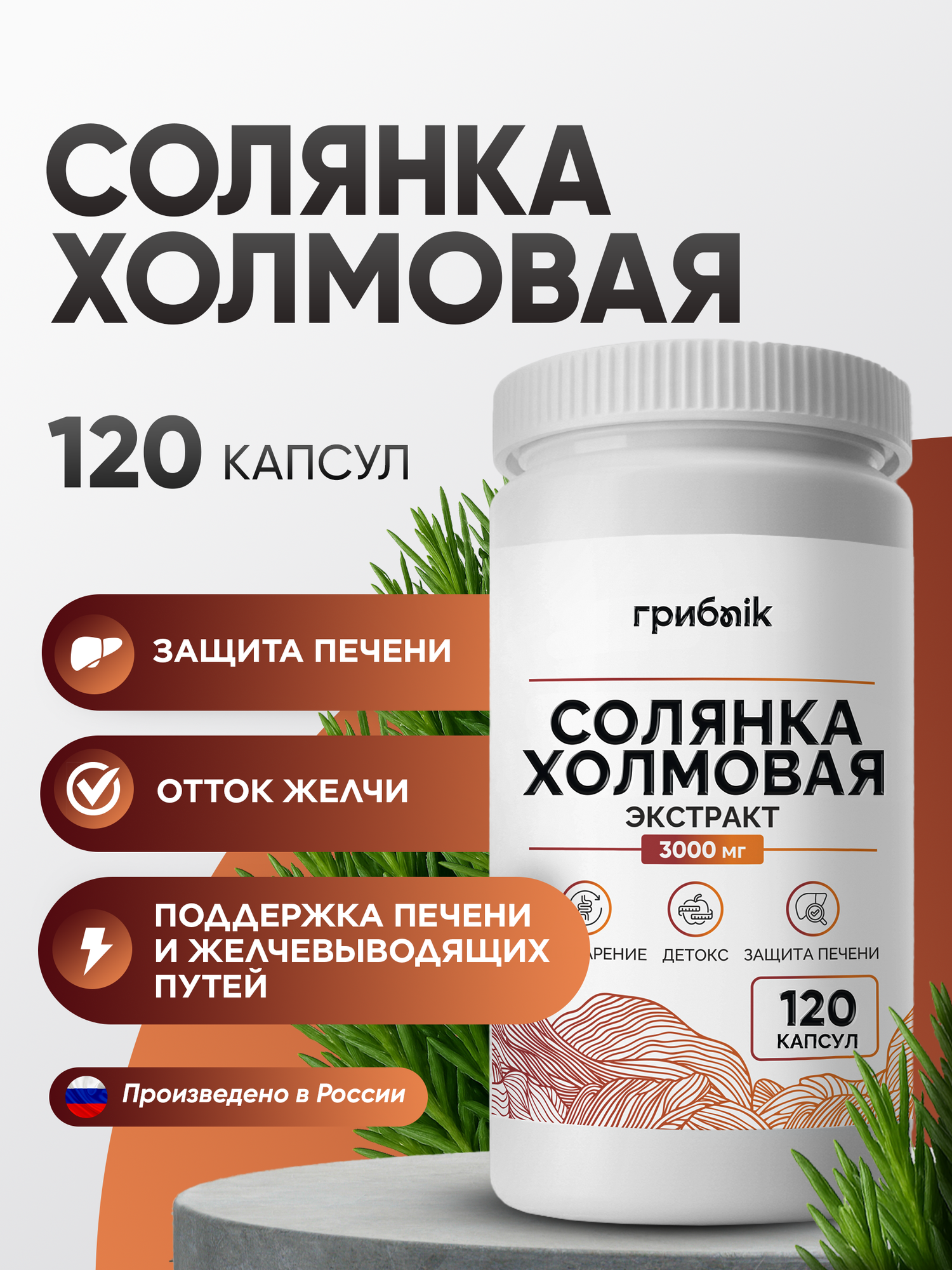 Солянка холмовая для печени и желчного пузыря 120 капсул, ГрибNik