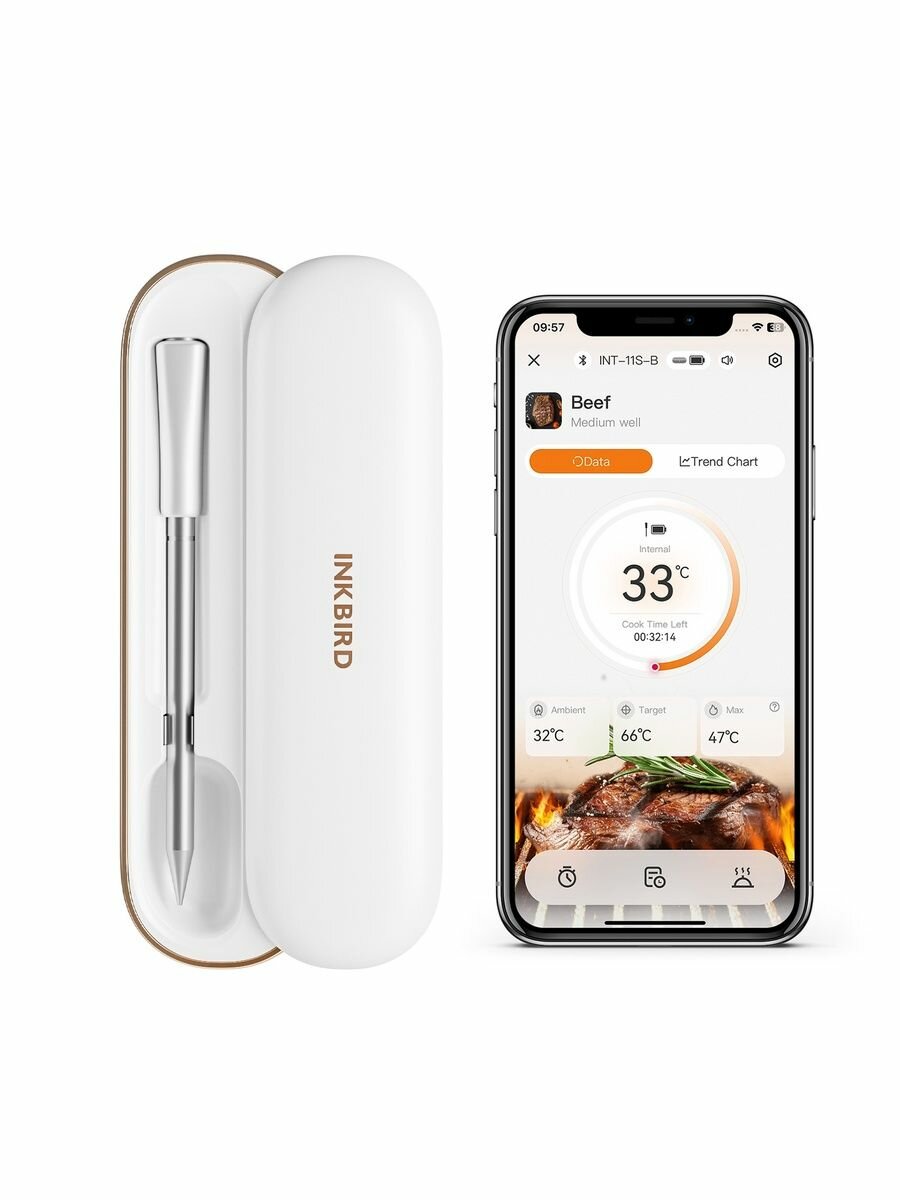 Кулинарный термометр INKBIRD INT-11SB, беспроводной, док-станция, Bluetooth