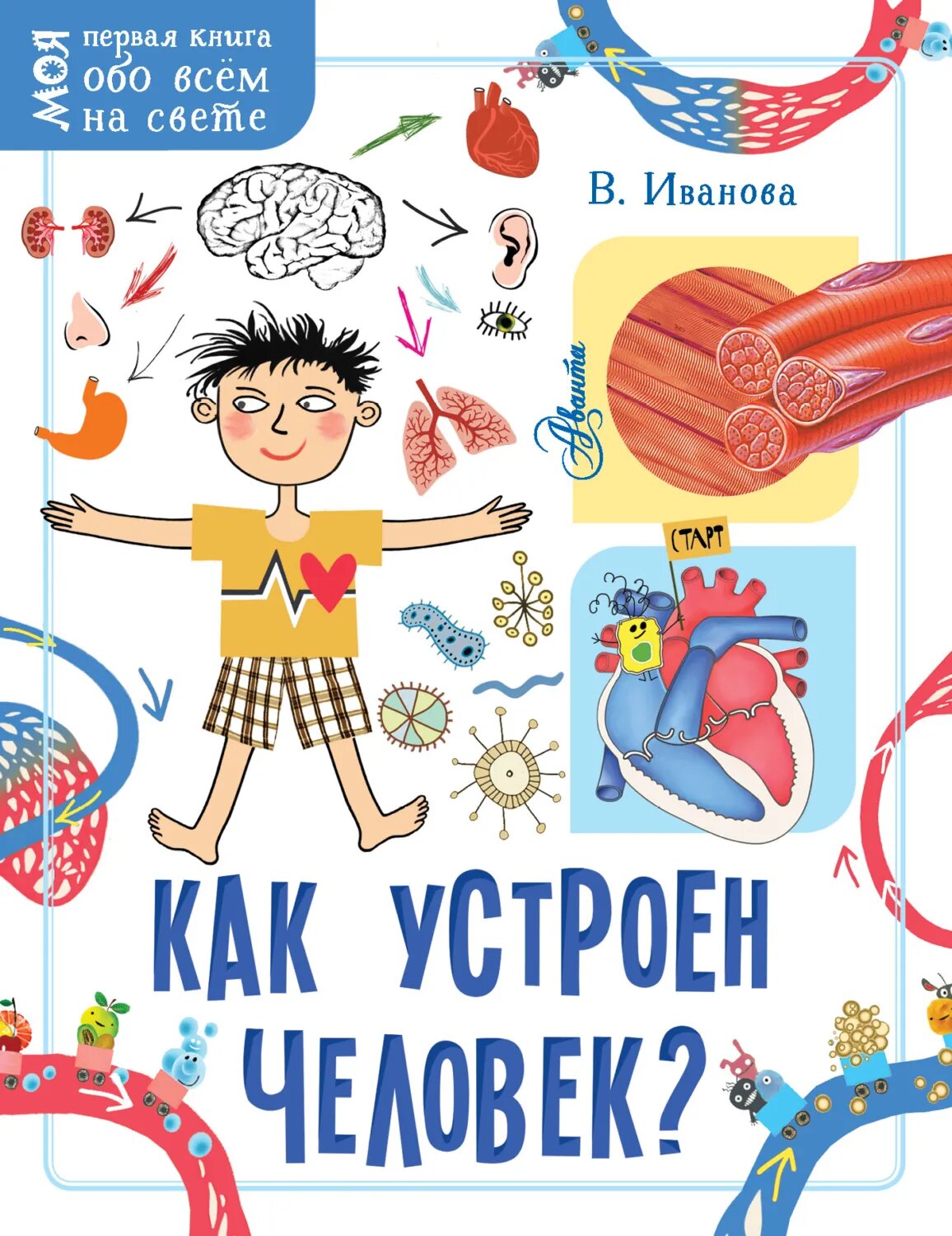 Как устроен человек? [Цифровая книга]