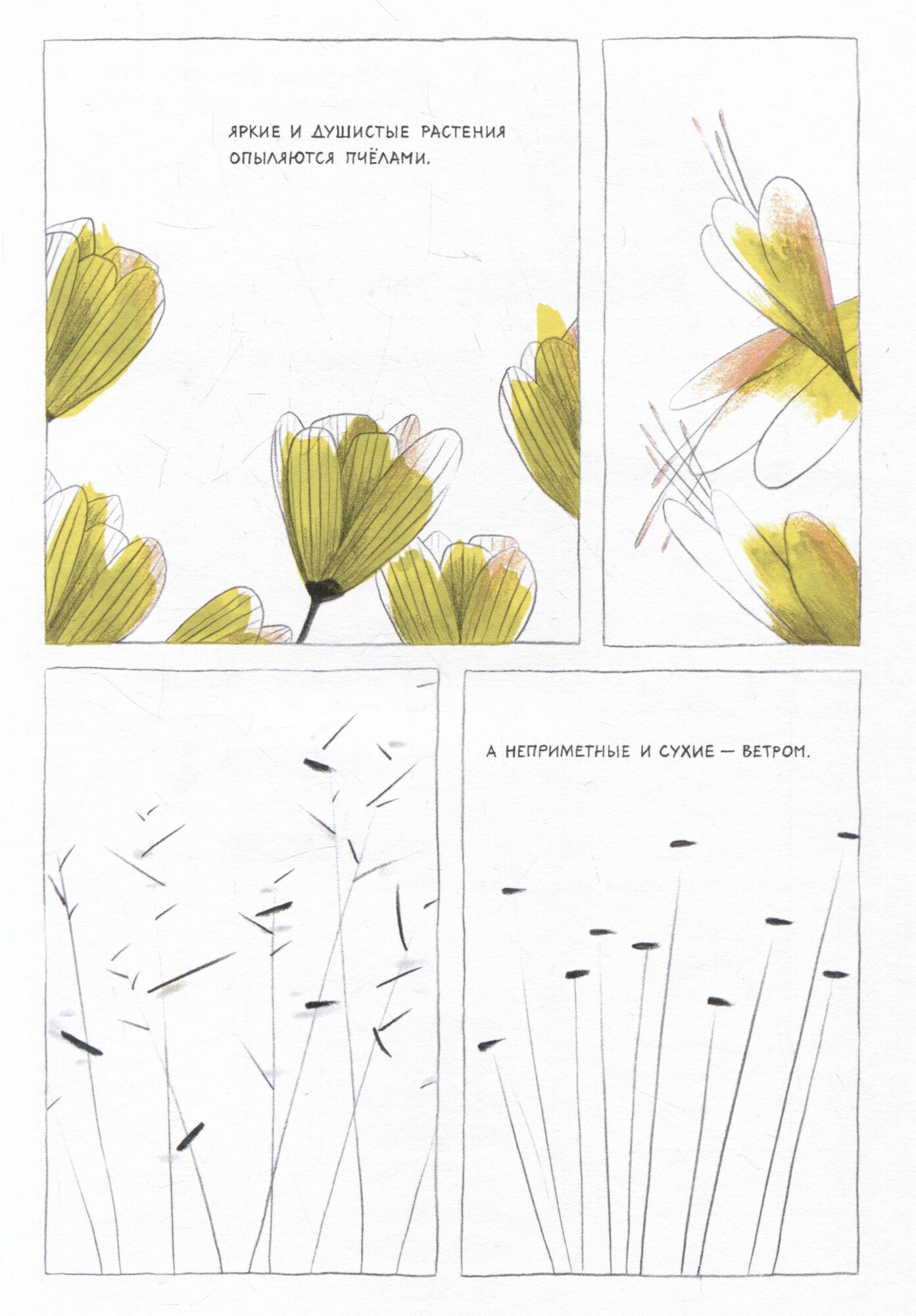 Молоко без мёда