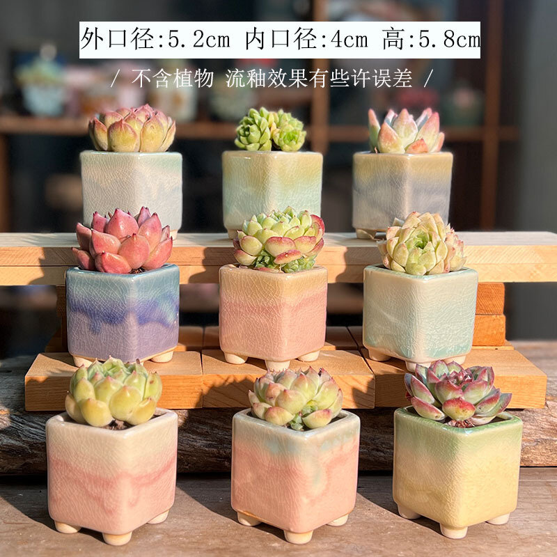 Новый горшок для суккулентов, глазурованный, белый глиняный, влагопоглощающий, дышащий, контролирующий кровотечение, изысканный маленький цветочный горшок