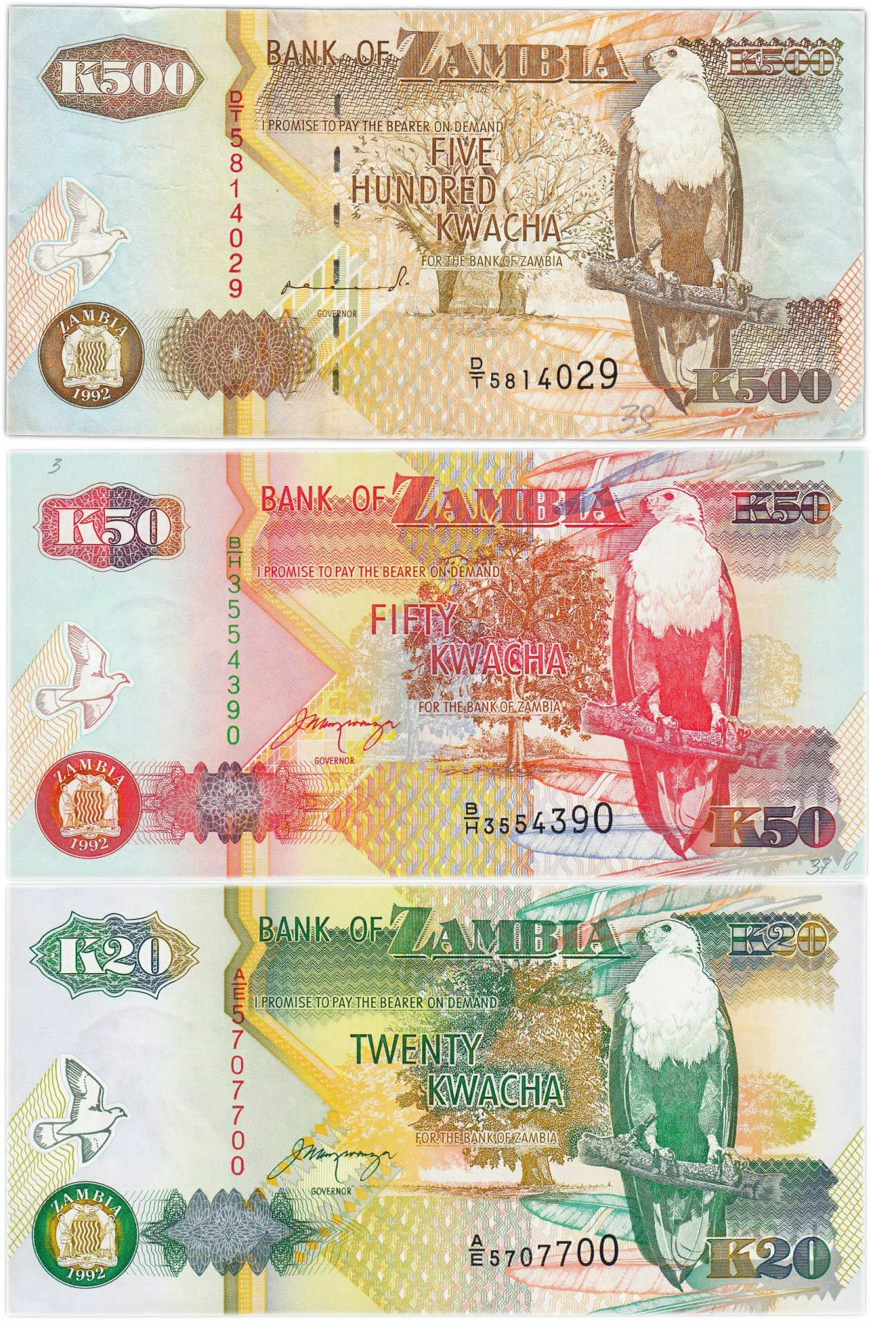 Замбия набор из 3 банкнот 20, 50, 500 квача "Попугаи" 1992