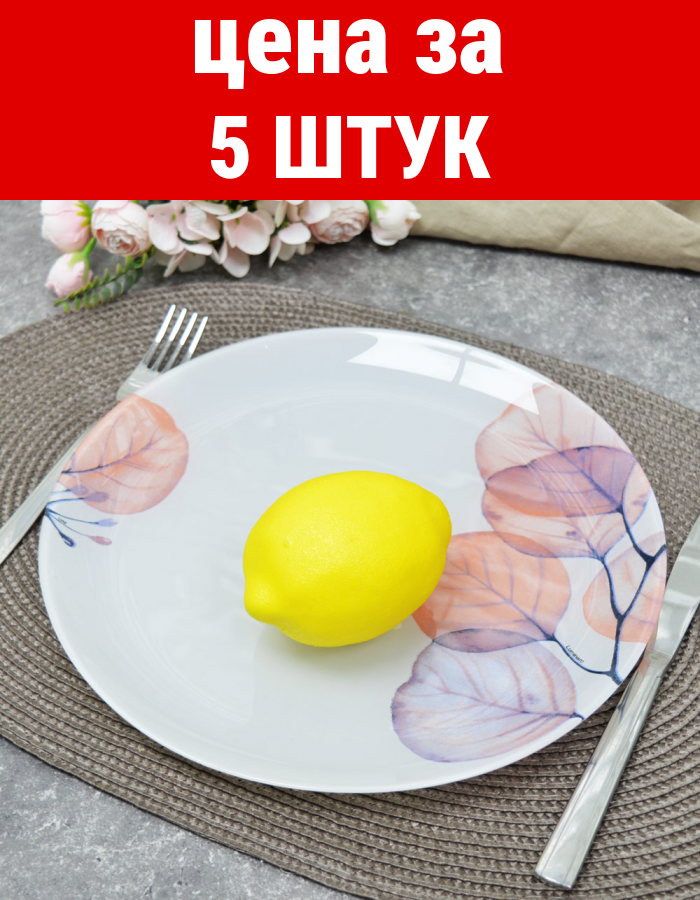 Комплект 5 шт, Тарелка обеденная 26см Натюрэль