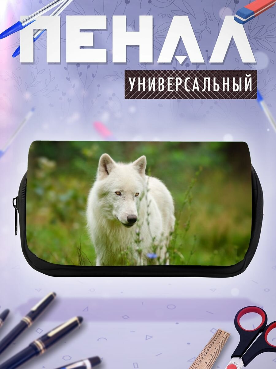 Школьный пенал арктический волк живая природа