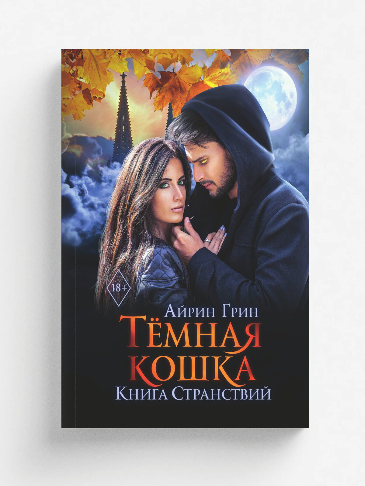 Тёмная Кошка. Книга Странствий