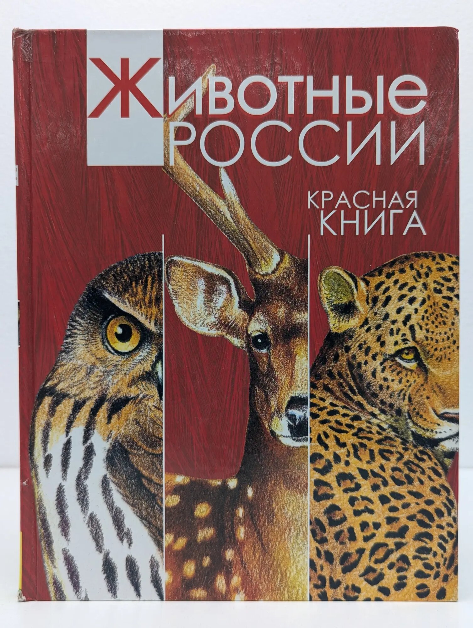 Животные России. Красная книга Тихонов Александр Александрович 2010