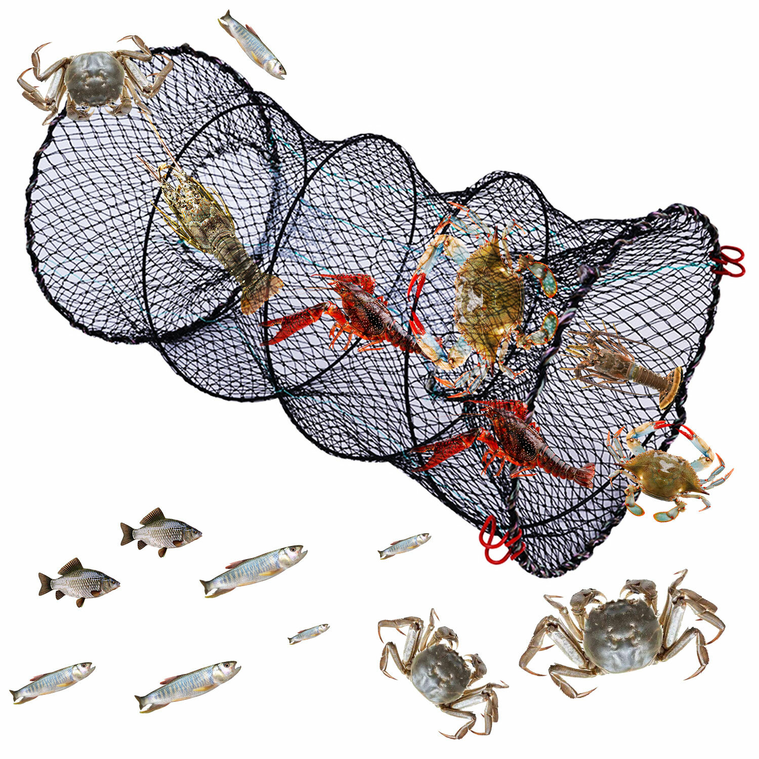 Раздвижная сетка для рыбалки, клетка для крабов, пружинная клетка, круглая клетка для креветок, клетка для рыбалки, клетка для лобстеров, рыбацкий инструмент, размеры: 450×250 мм, 600×300 мм, 800×400 мм, 900×500 мм, материал: оцинкованная сталь, нейлон