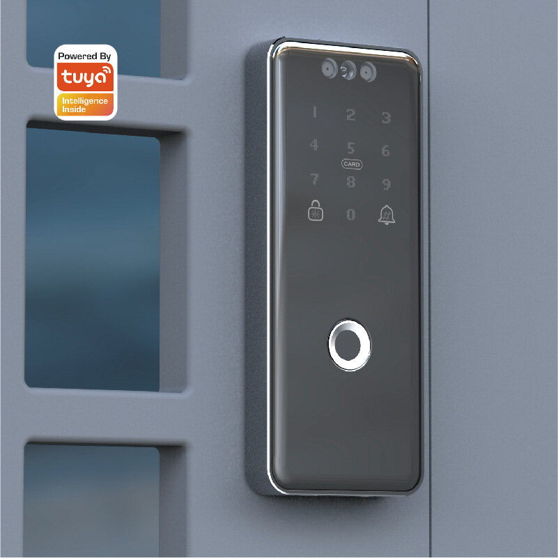 Сингапурский малайский специальный железный ворото, граффити, Bluetooth, подключаемый, Tongtong, двусторонний, с распознаванием лица, умный замок с отпечатком пальца