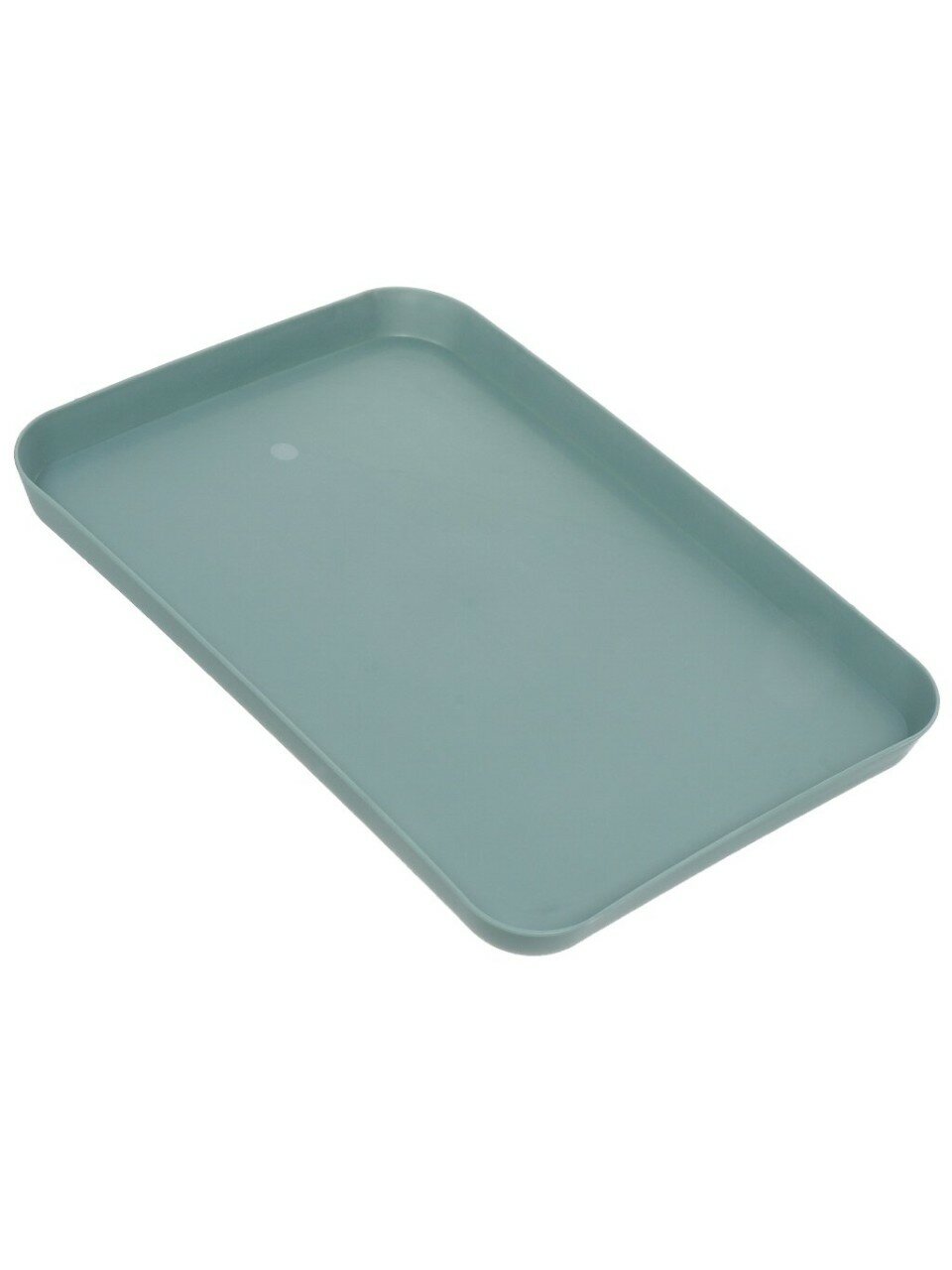 Поднос пластиковый 32х24 см, голубой, универсальный, Китай