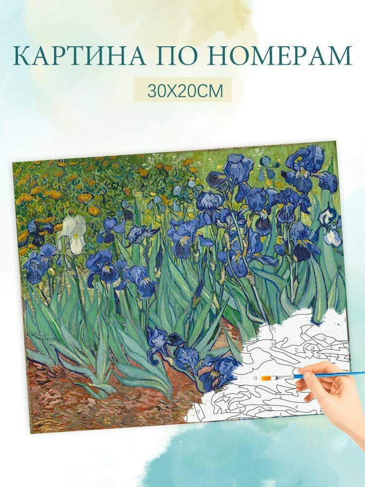 Картина по номерам на холсте с без подрамником 20х30 / "Ирис"