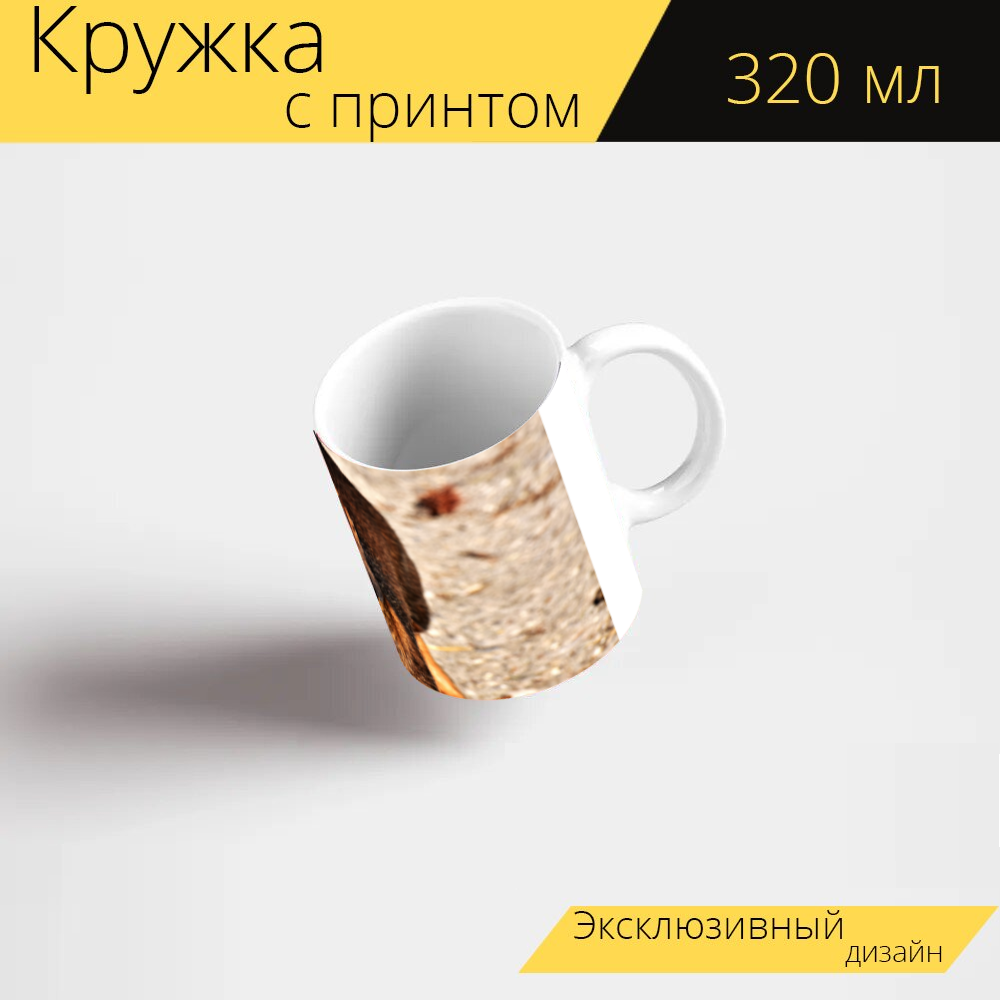 Кружка с рисунком, принтом "Жесткошерстная такса, собака, животное" 320 мл.
