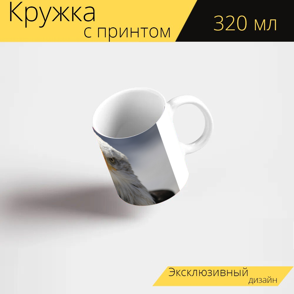 Кружка с рисунком, принтом "Орел, клюв, белоголовый орлан" 320 мл.