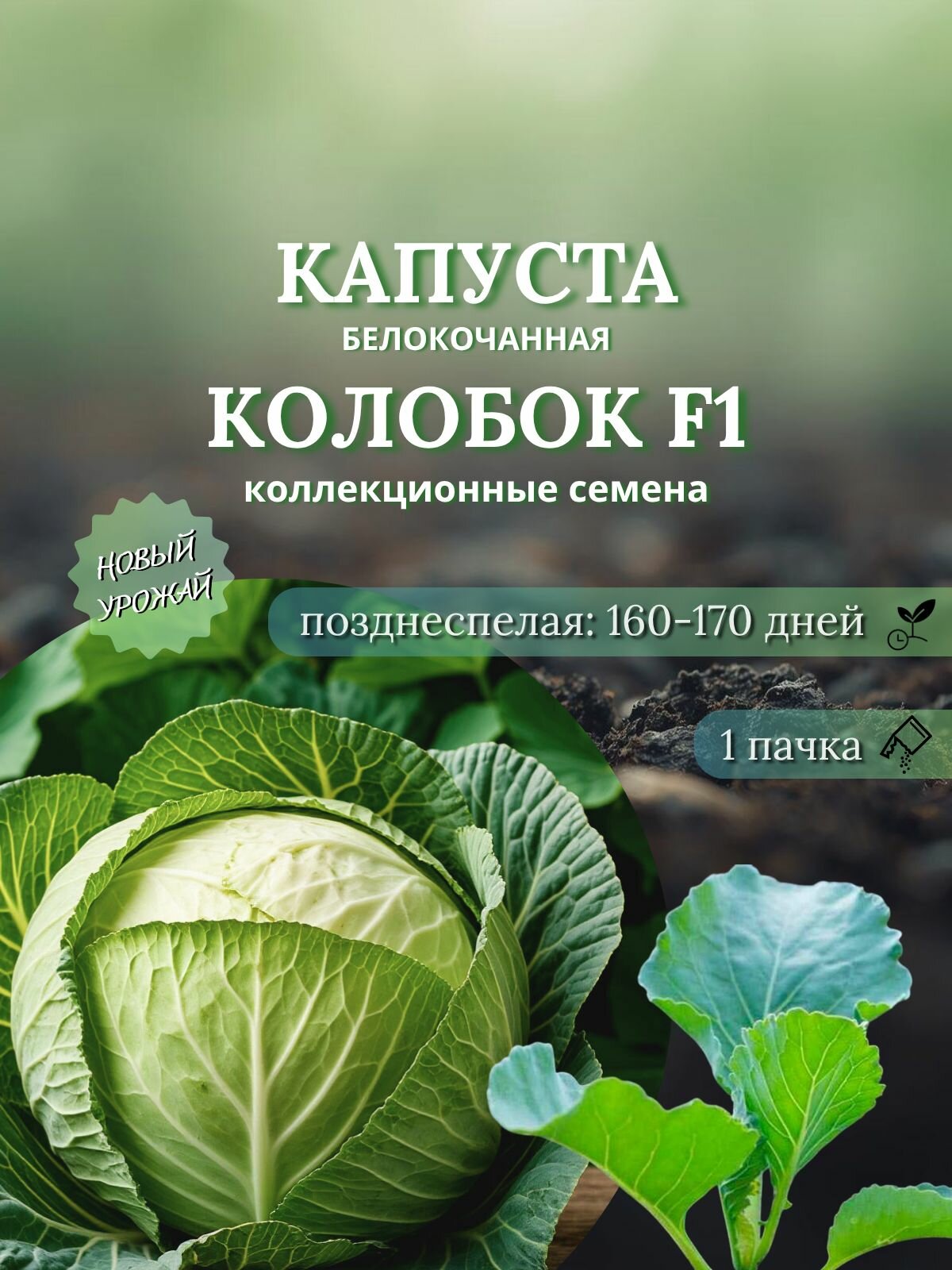 Капуста белокочанная Колобок F1, коллекционные семена, 10 шт.