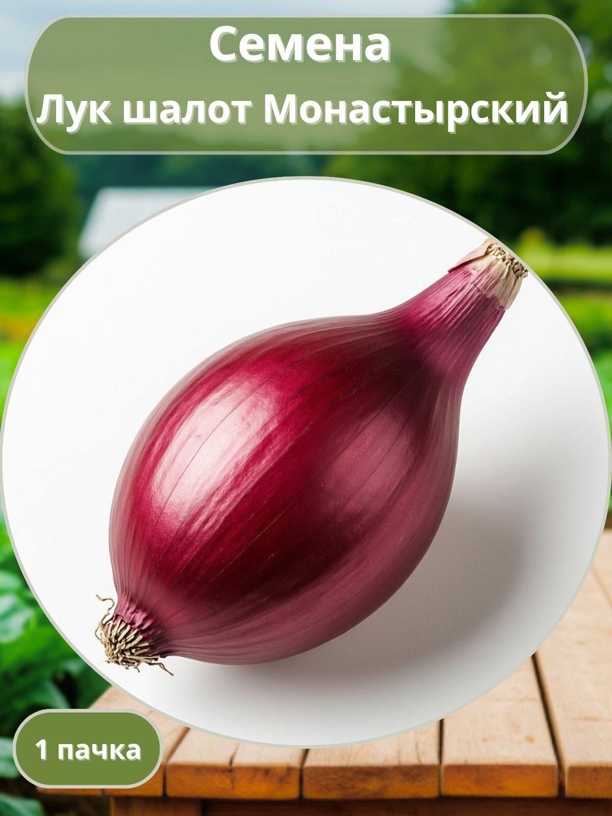 Лук шалот Монастырский, семена 10 шт