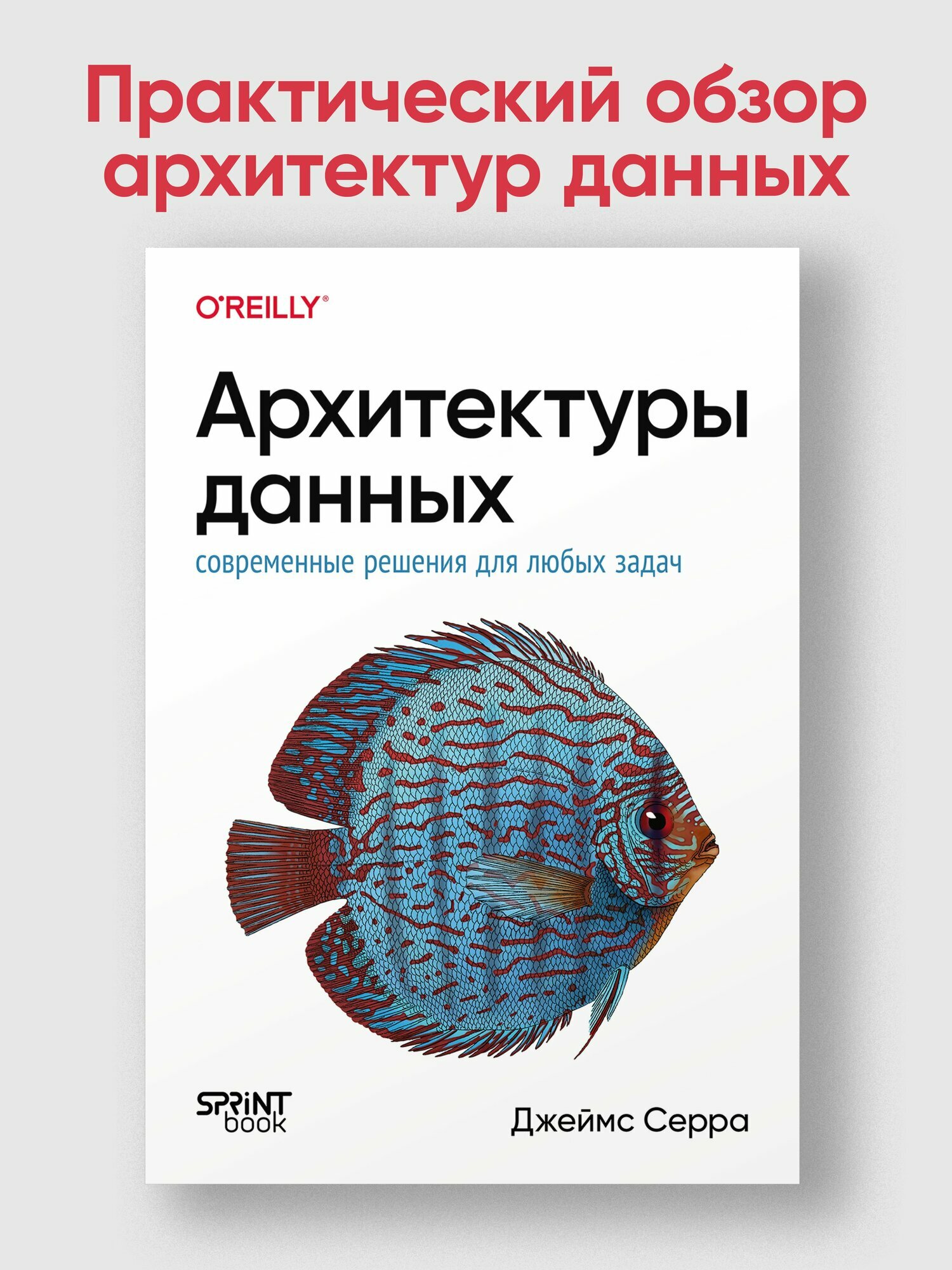 Архитектуры данных: современные решения для любых задач / книги по базам и анализу данных