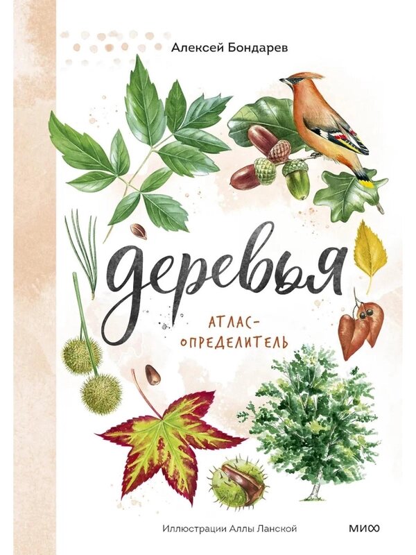 Деревья. Атлас-определитель (Бондарев А. А.)