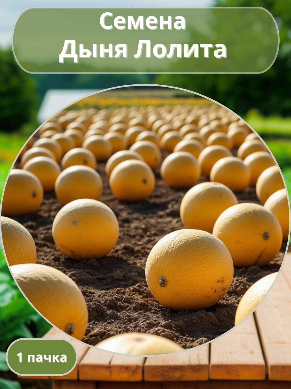 Дыня Лолита, семена 10 шт