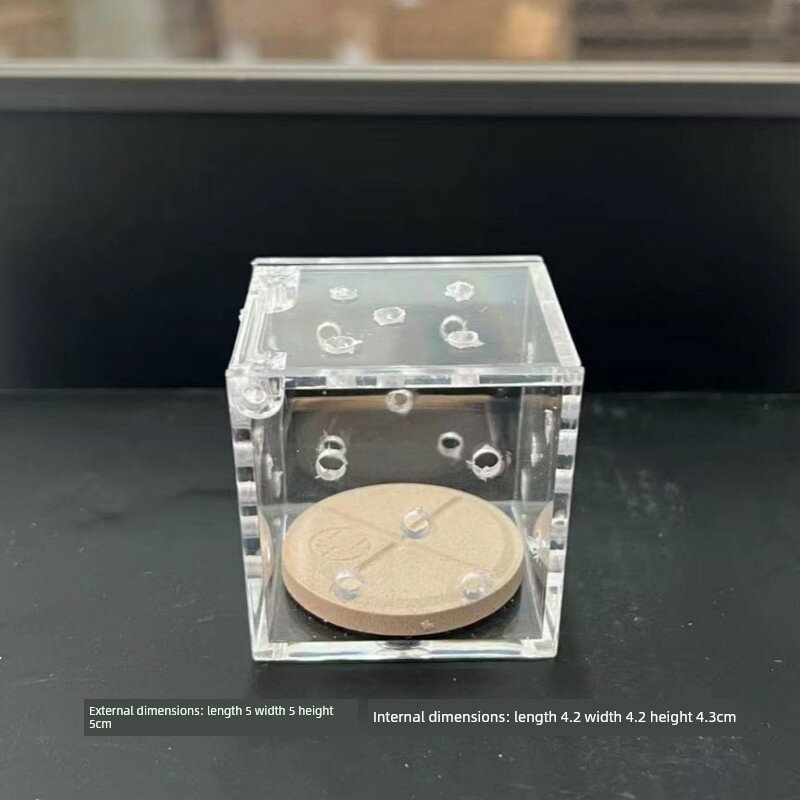 Акриловый контейнер для разведения кораллов 5x5x5 см без подставки прозрачный подходит для морских аквариумов маленький