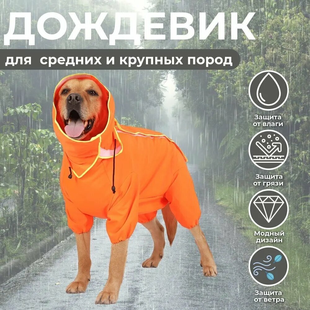 Дождевик для собак средних и крупных пород/ яркий дождевик для собак