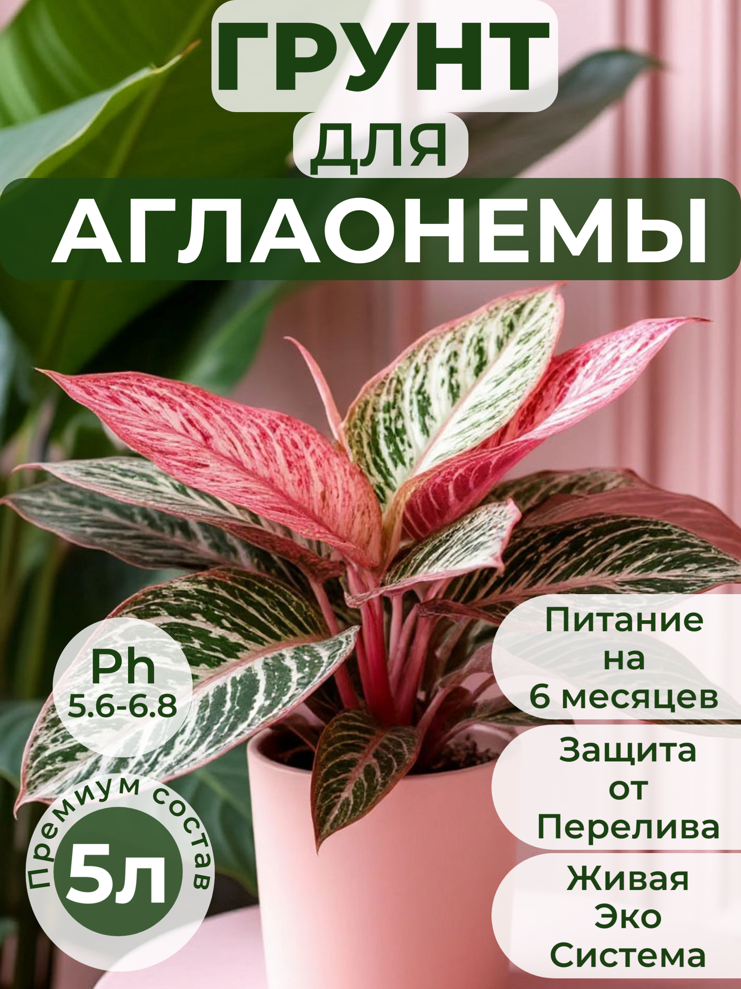Премиум Грунт для Аглаонемы 5 литров на торфяной основе с добавлением Osmocote npk 19*10*9