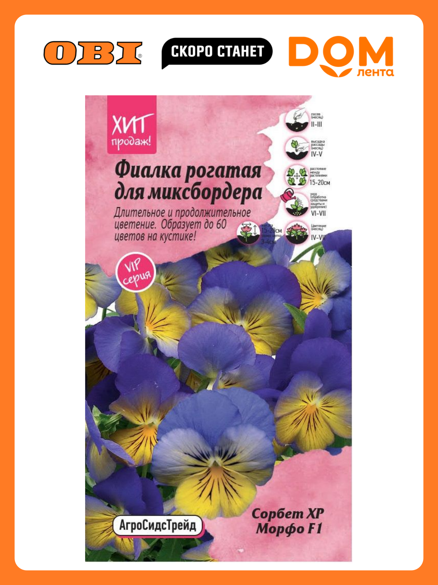 Фиалка рогатая Сорбет XP Морфо F1 5 шт АСТ