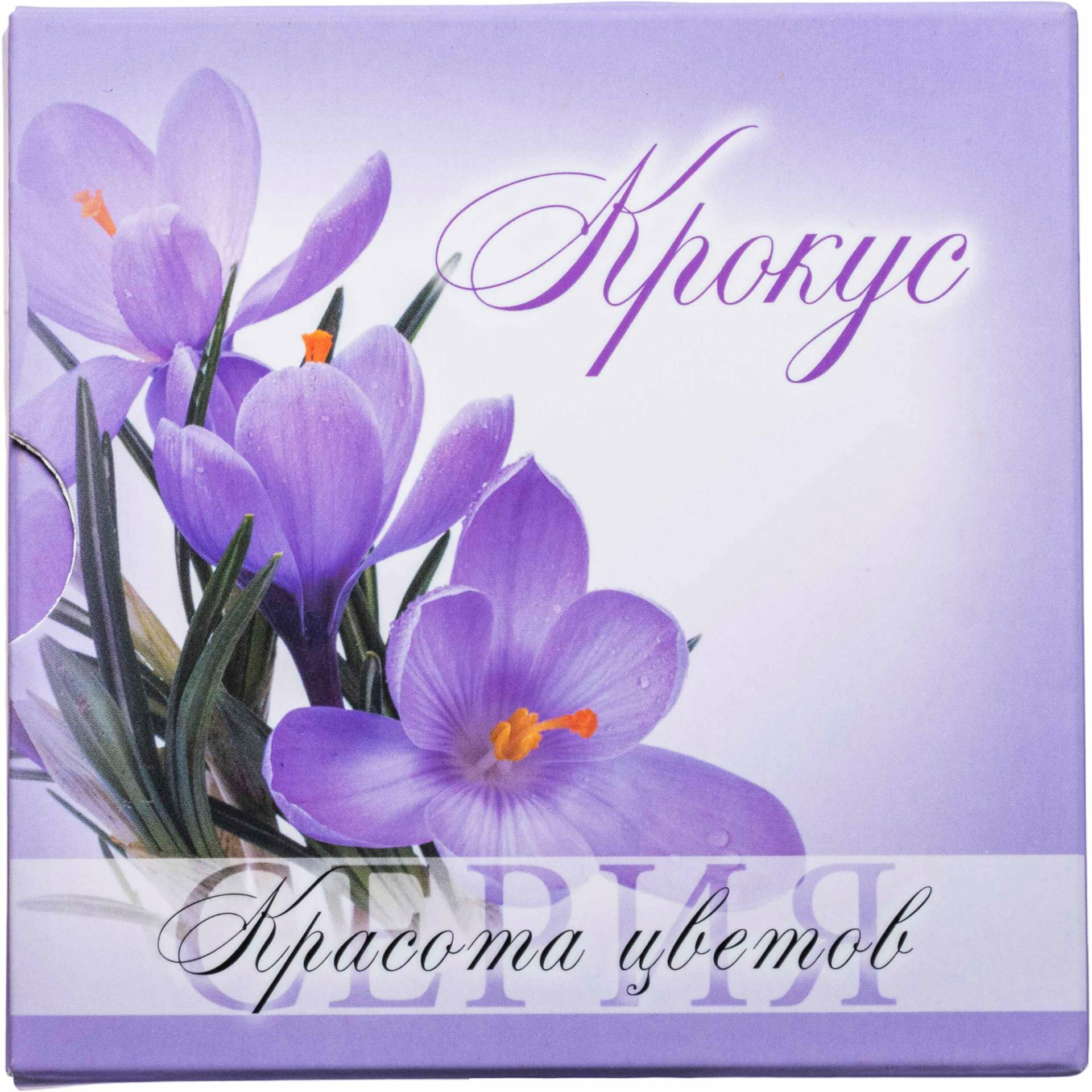 Беларусь 10 рублей 2013 Proof "Красота цветов - Шафран" в буклете с сертификатом, Серебро 925