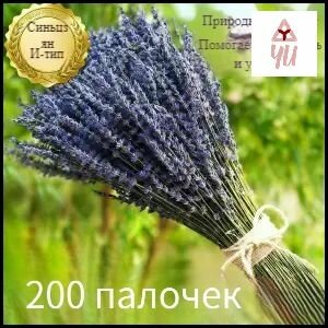 Бестселлер для бани, популярный веник 2025 года