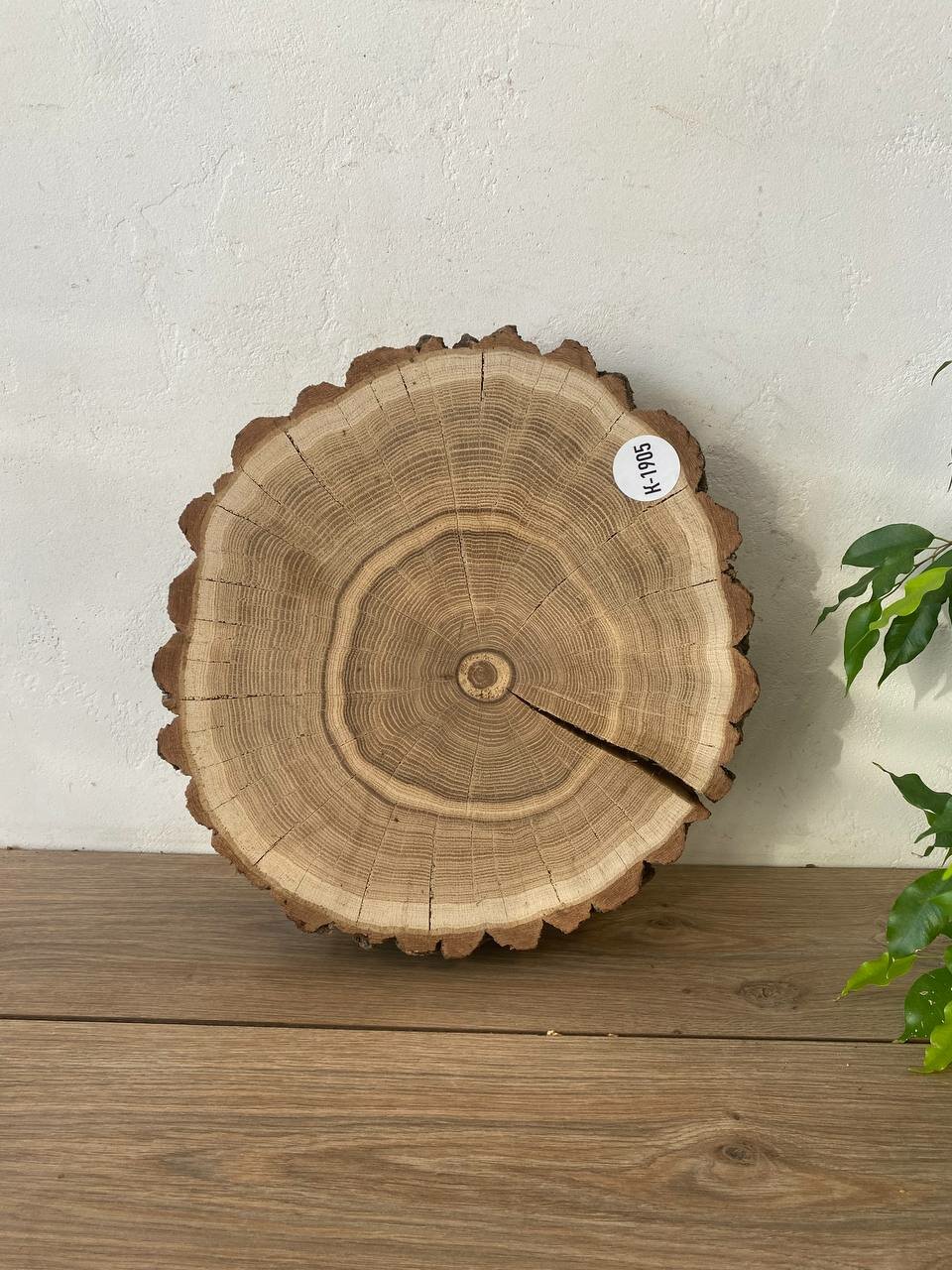 Спил дуб . Габаритные размеры 36х37х6,5 см. Шлифованный с 2-х сторон. артикул к1905