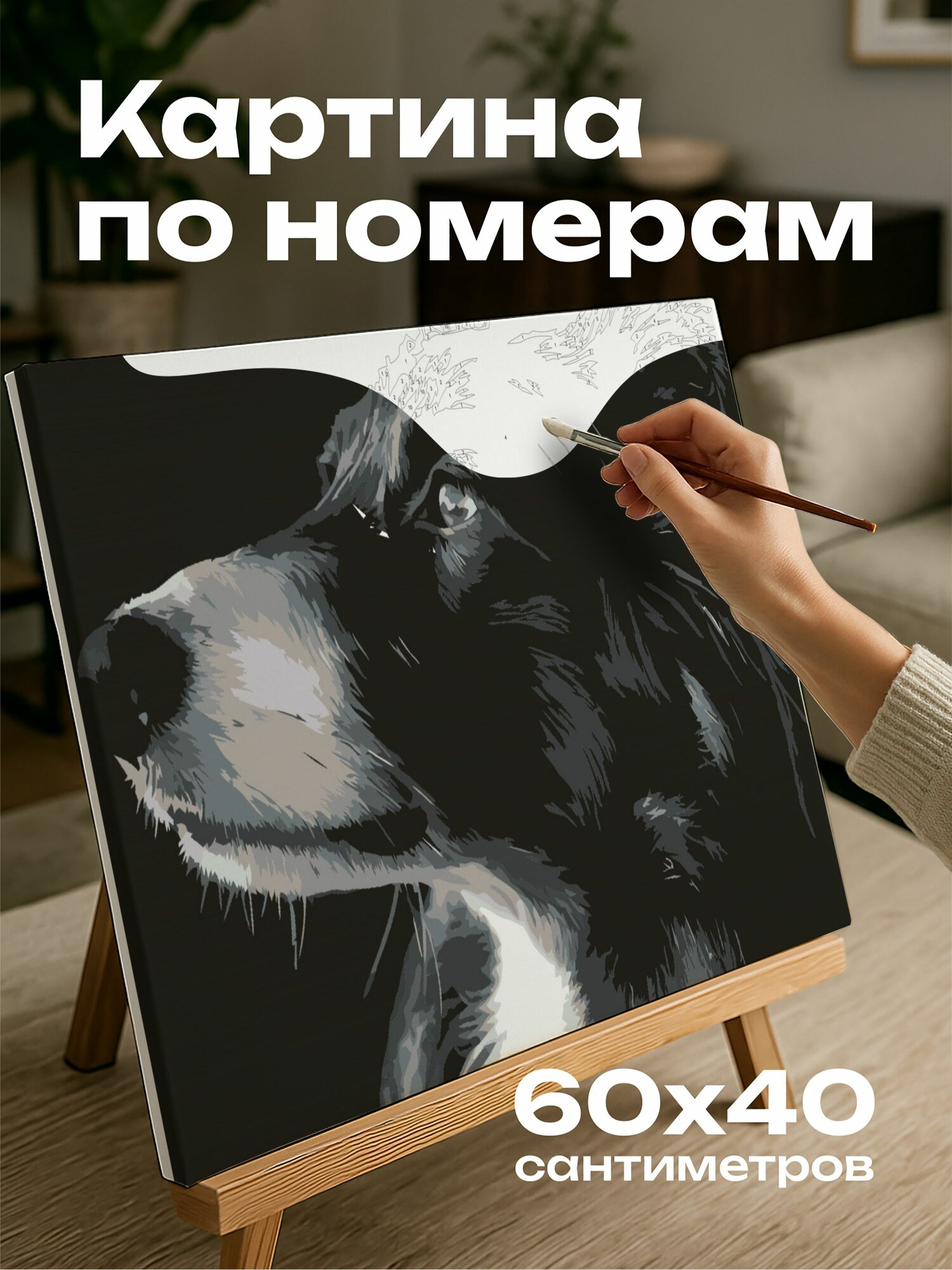 Картина по номерам 60x40 см, Колли, высокое разрешение, естественная обстановка, живость, внимательность, черты лица, f