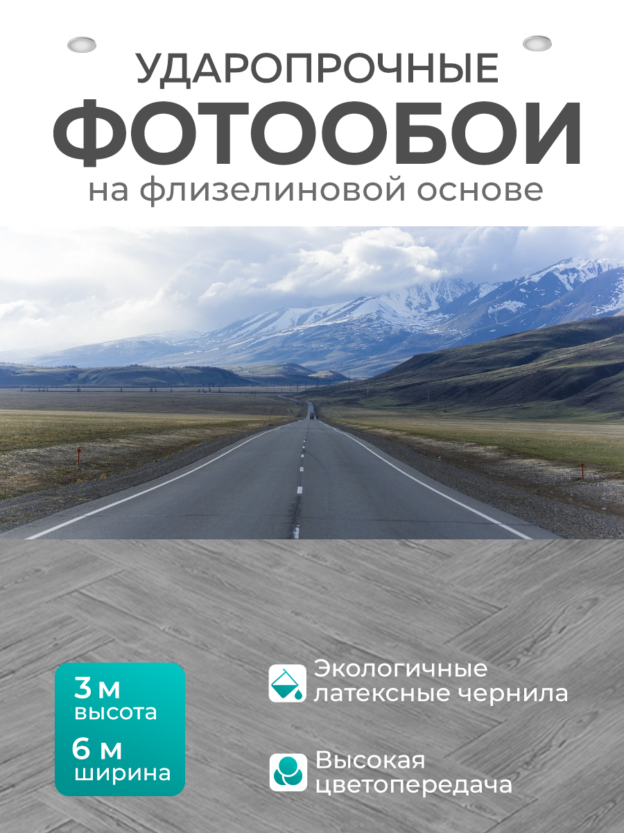 Фотообои моющиеся ударопрочные "Горный алтай, россия, дорога" 600x300 см. флизелиновые на стену