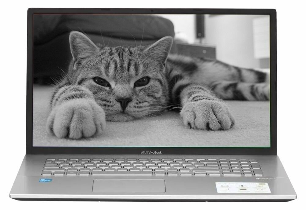 Ноутбук ASUS Intel Core i3 3,5ГГц 6 ядер. 17' 1920x1080 Intel UHD Graphics Windows 11 Pro Русская раскладка