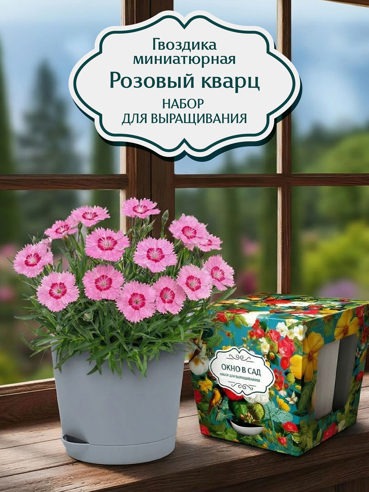 Набор для выращивания Гвоздика миниатюрная Розовый кварц "Окно в сад", для детей и взрослых