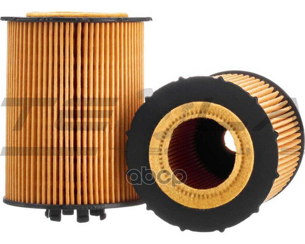 Фильтр масляный Tesla Technics арт. TTF2125