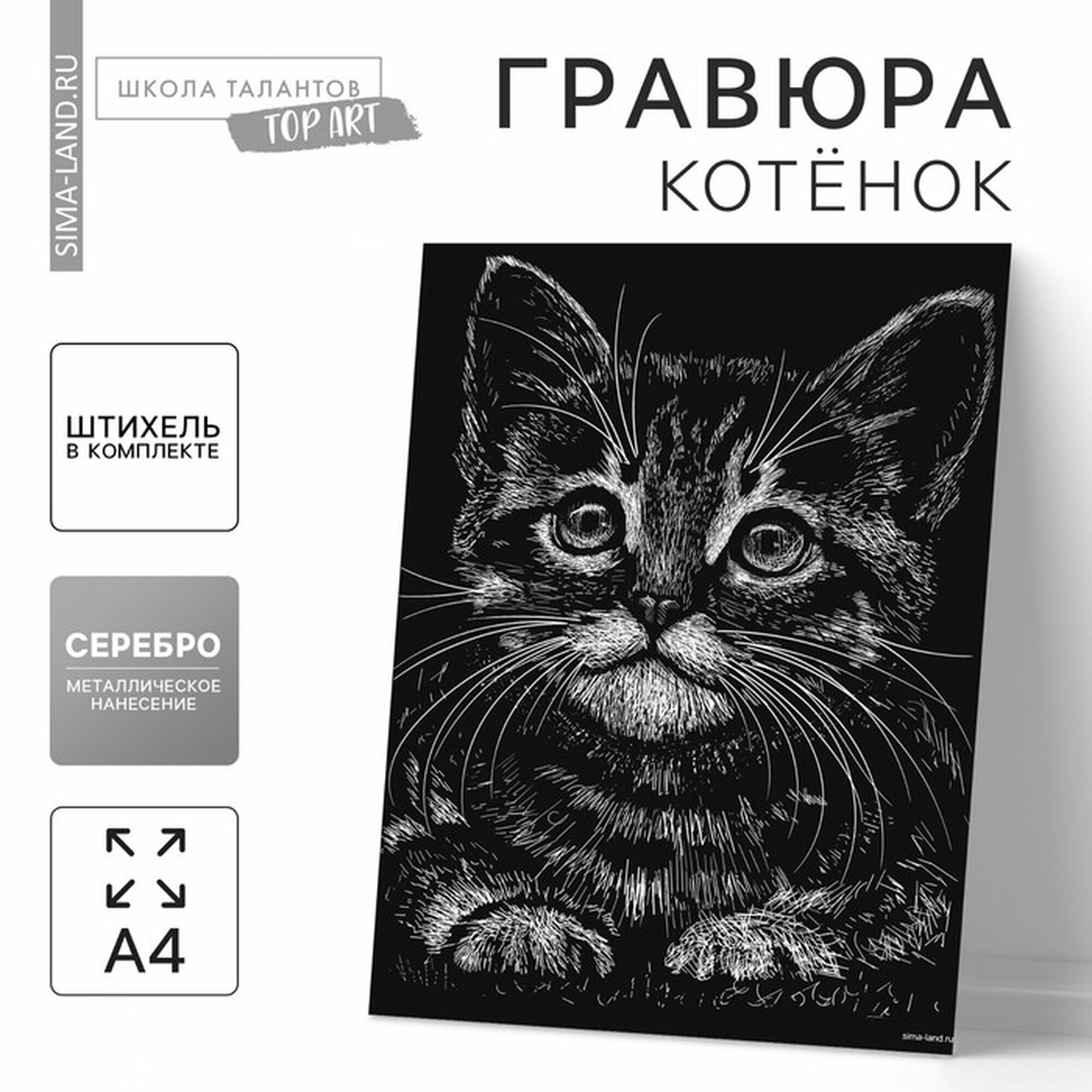 Гравюра Школа Талантов "Котёнок", металлический эффект серебро, А4