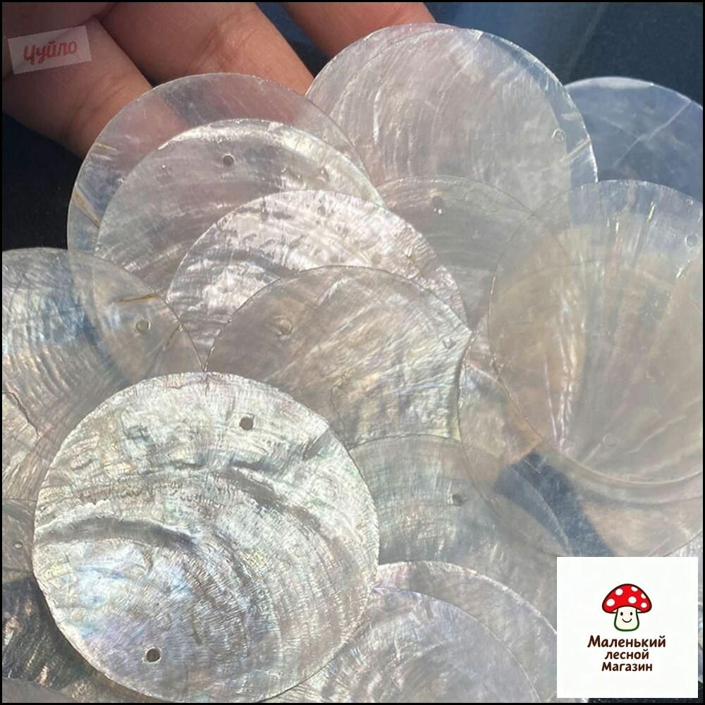 50 шт. круглые натуральные ракушки, морские раковины капиз, 2-дюймовые ракушки устриц