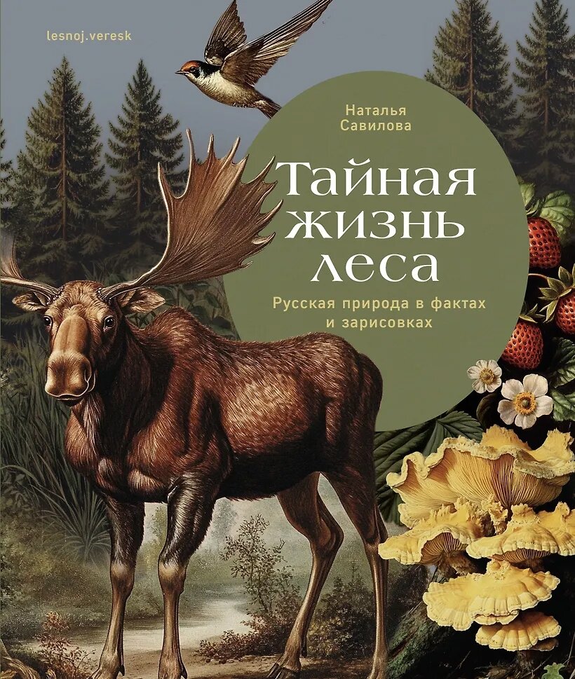 Тайная жизнь леса. Русская природа в фактах и зарисовках / Савилова Н.