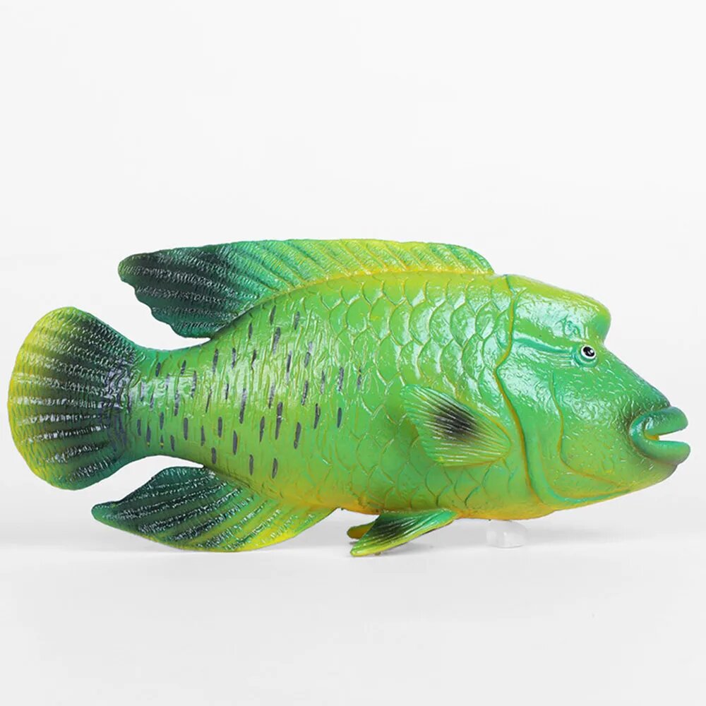 Модель Рыбы-Наполеона, Украшение Аквариума, Образовательная Игрушка, 1 Комплект