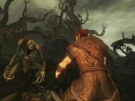 Risen PC Steam Ключ • Активация Steam • регион Весь мир • цифровой ключ