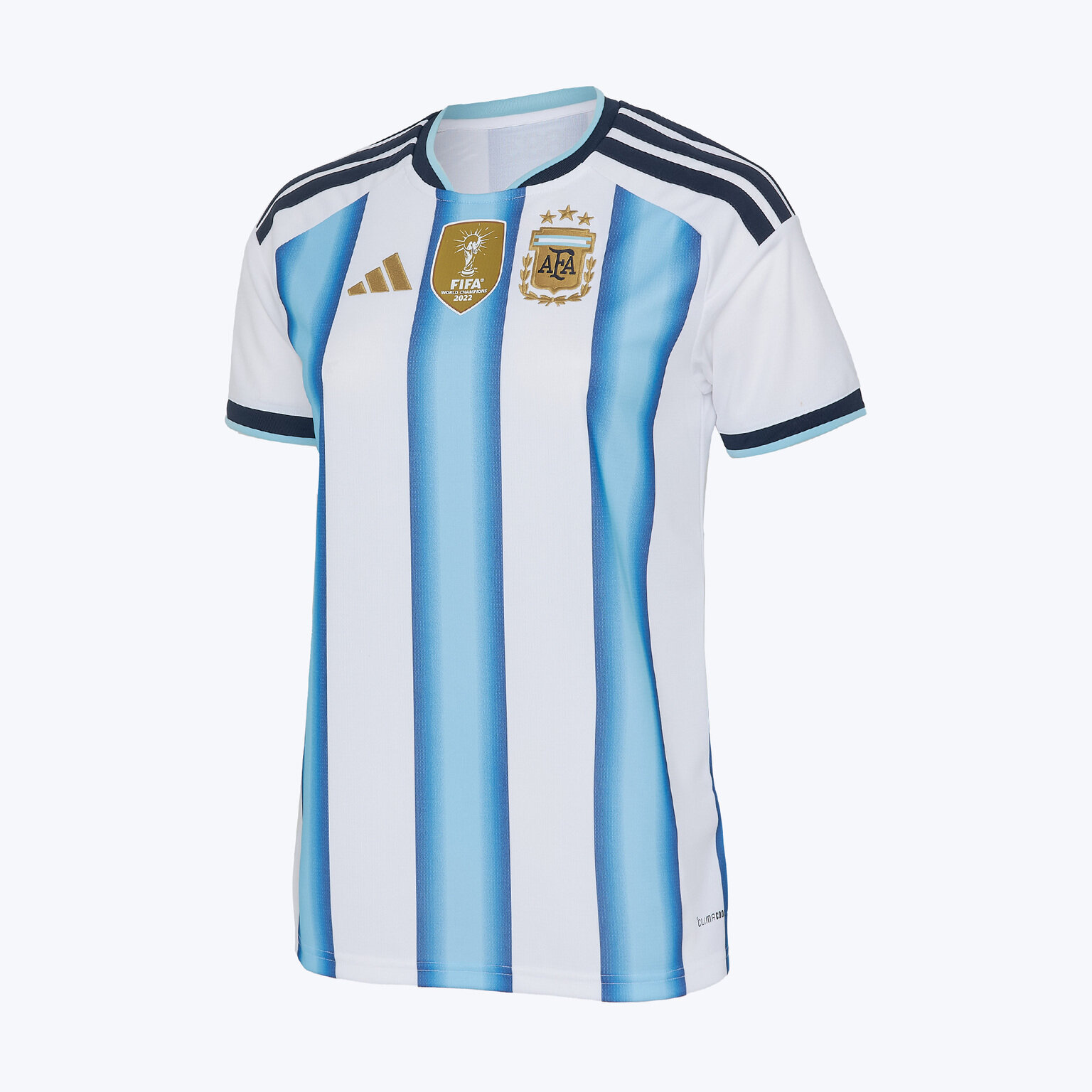 Футболка спортивная Сборная Аргентины