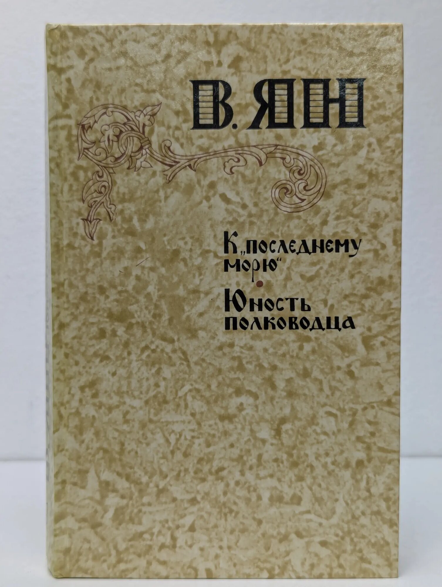 К "последнему морю". Юность полководца. Ян Василий Григорьевич 1981