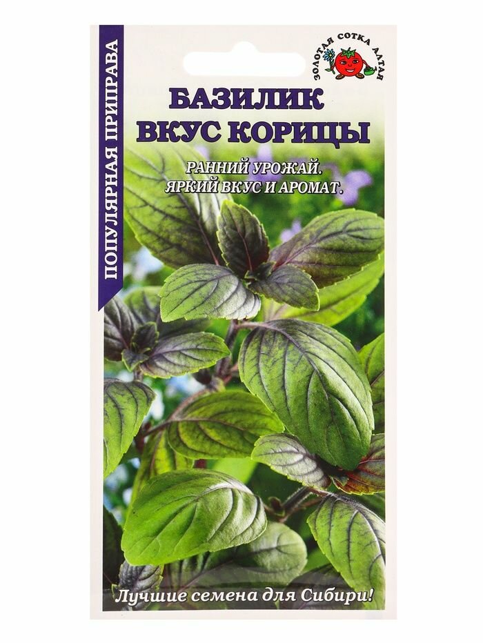 Семена Базилик Вкус Корицы , 0.3 г, раннеспелый, зелёный с фиолетовыми прожилками, Золотая Сотка Алтая
