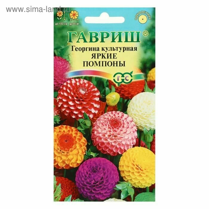 Семена цветов Георгина "Яркие помпоны"- Высокорослая смесь , срезочная. 0,2 г. Гавриш.