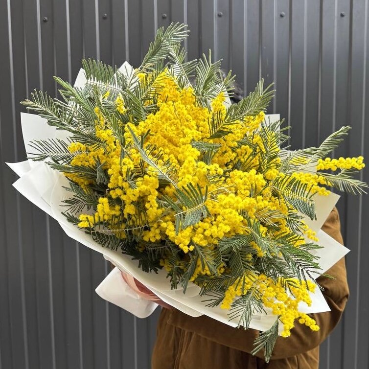 Букет итальянская мимоза « Солнечное настроение», дизайнерская упаковка, атласная лента