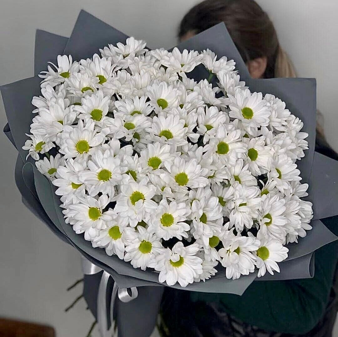 Большой букет кустовых хризантем ромашкой ,15 шт , хризантема с доставкой в упаковке