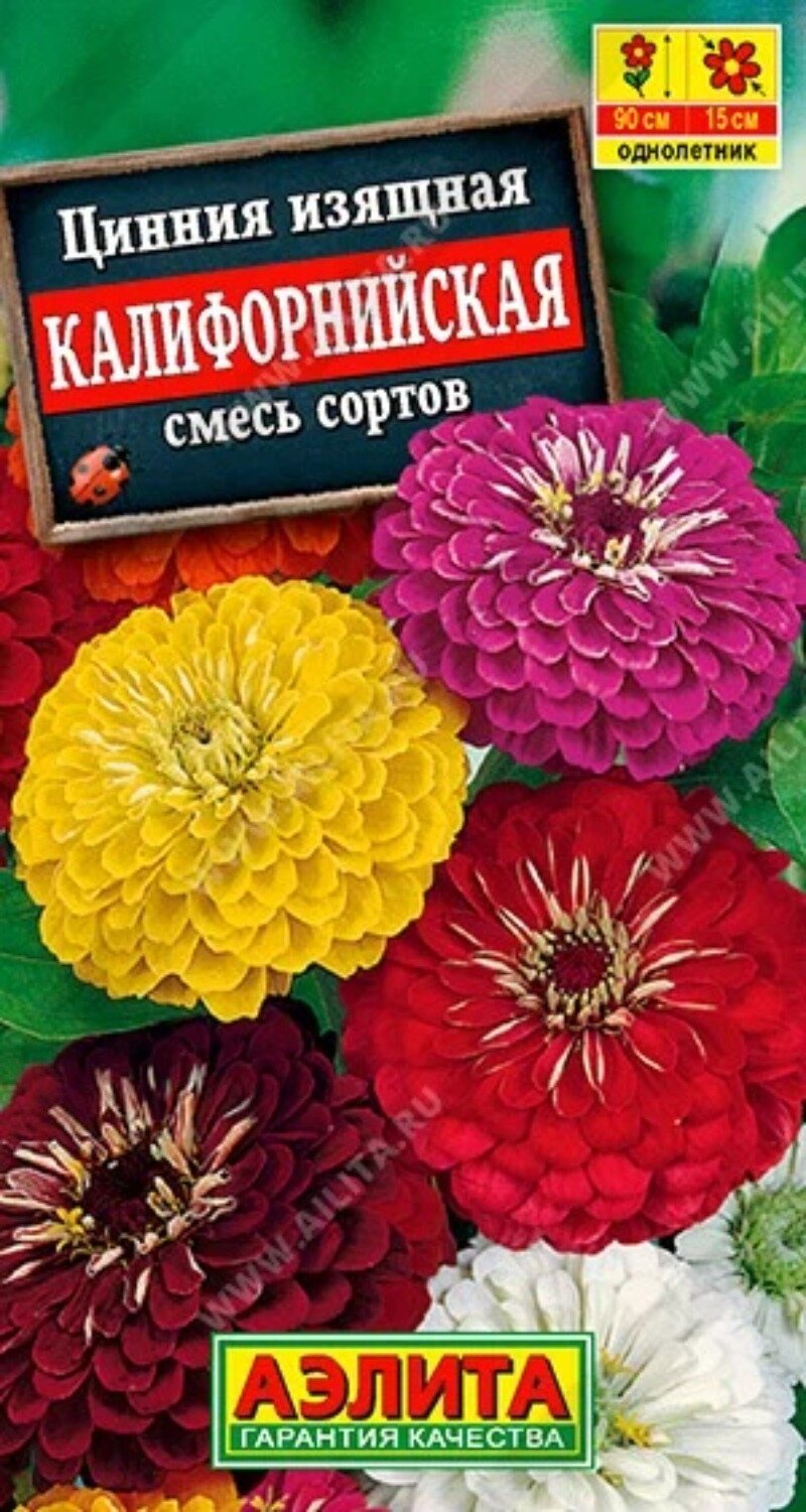 Семена Цинния Калифорнийская, смесь сортов (0,5 г), Агрофирма Аэлита