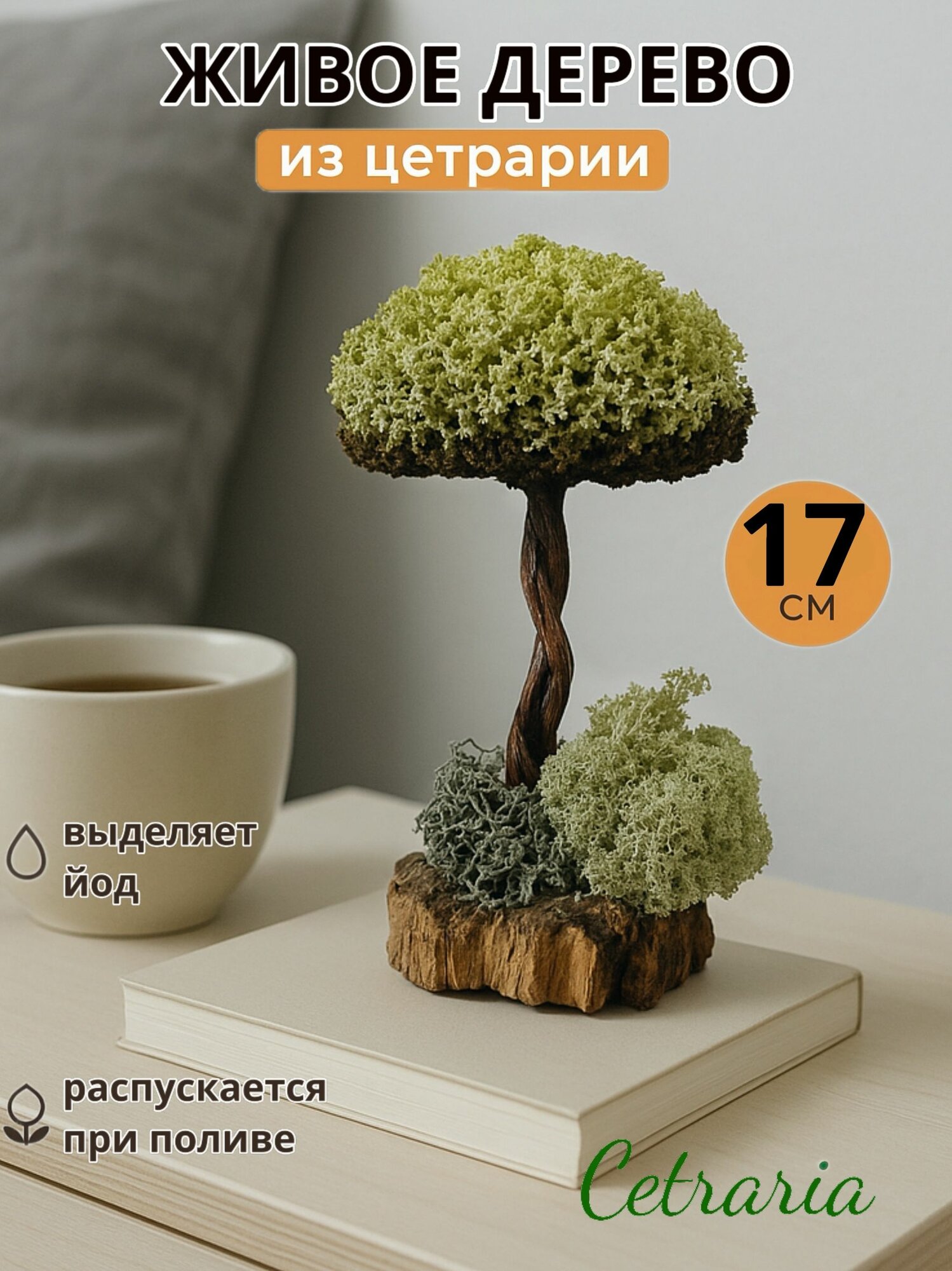 Декоративное дерево из цетрарии